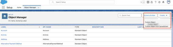 Standard and Custom Objects in Salesforce - ForceLearn