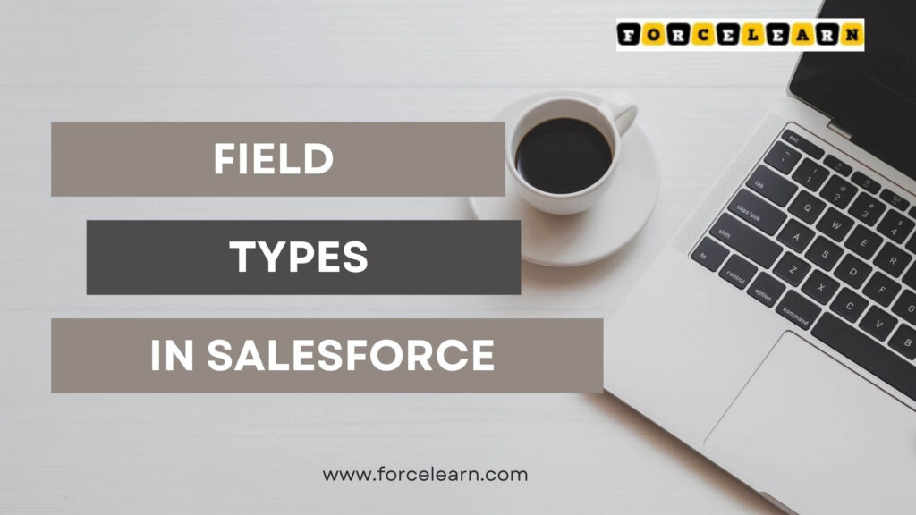 Field Types in Salesforce - ForceLearn