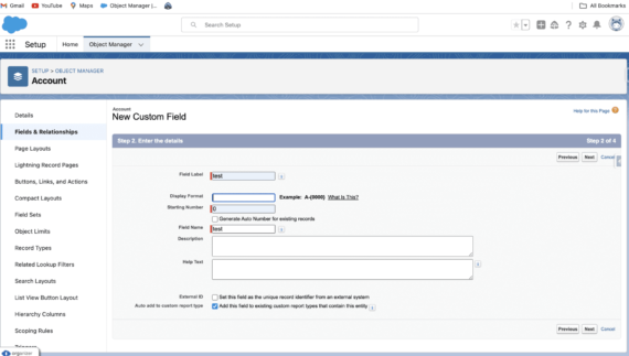 Field Types in Salesforce - ForceLearn