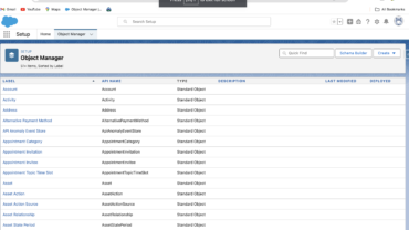 Field Types in Salesforce - ForceLearn