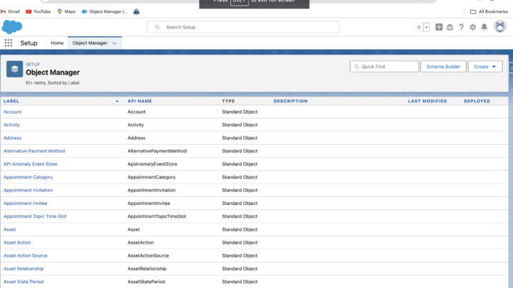 Dependent Picklist in Salesforce - ForceLearn