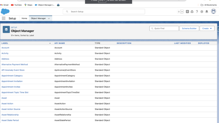 Field Types in Salesforce - ForceLearn