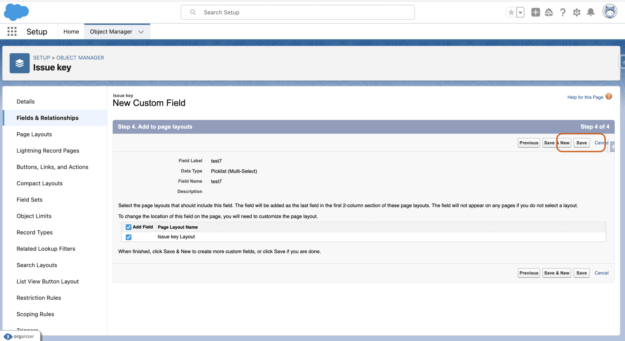 Multipicklist in Salesforce - ForceLearn