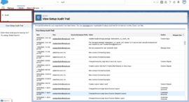 What is Audit Trail in Salesforce - ForceLearn