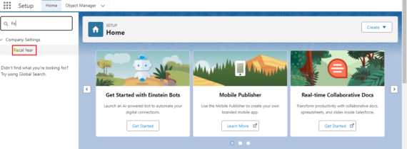 What is Fiscal Year in Salesforce - ForceLearn