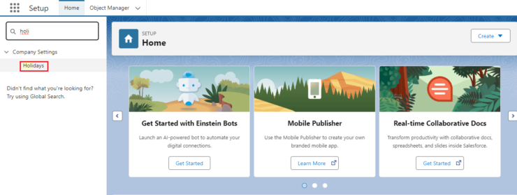 How to Setup Holidays in Salesforce - ForceLearn