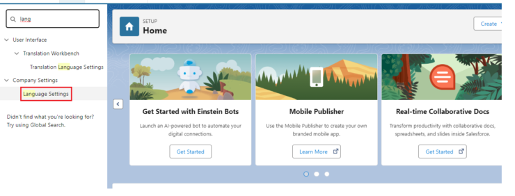 How to Set Up Languages in Salesforce - ForceLearn