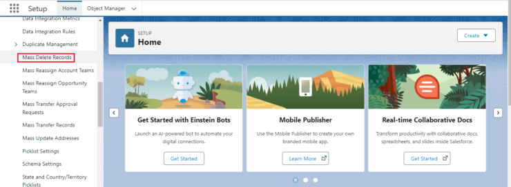 How Mass Delete Records in Salesforce - ForceLearn